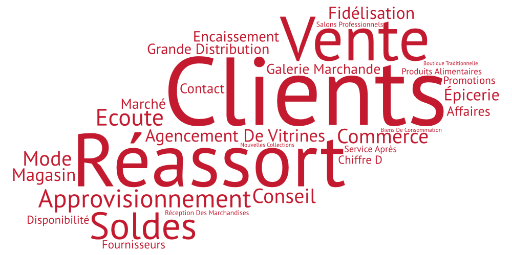 Bac Pro Commerce-Vente - Institution Sainte Anne - Lamartine - Lycée ...